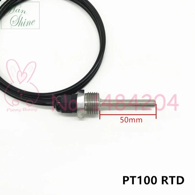 PT1000 Pt100 Temperature Sensor SUS304 Housing Platinum Resistance BSP ...