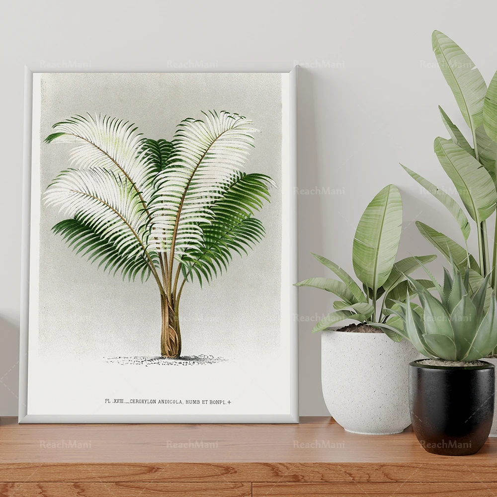 Vintage Palm Leaf Print