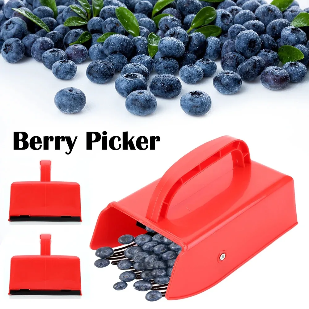 Portable-Metal-Berry-Picker-Blueberry-Collection-Convenient-Handle ...