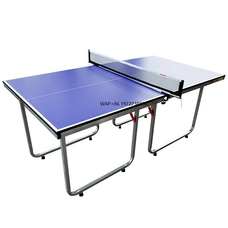 DHS T919 Children's Small Table Tennis Table Family Multi-purpose ...