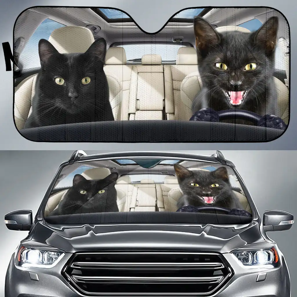 Funny Cats Driving Cars