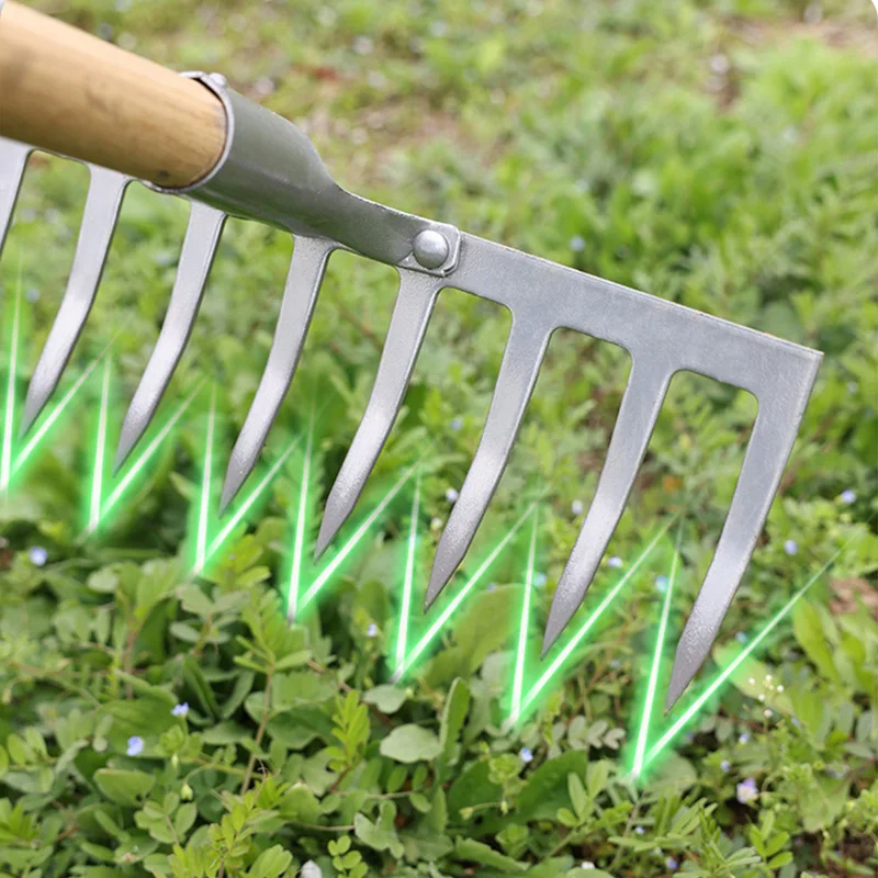 Garden Rake