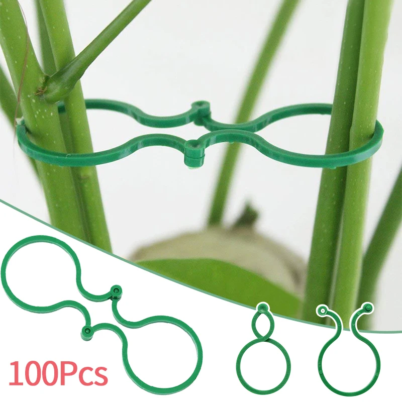 Clips De Cerclage De Vigne En Plastique, Anneau De Support De Plante En Plastique Vert, Outil De ...