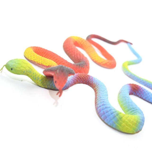 Real Colorful Snake