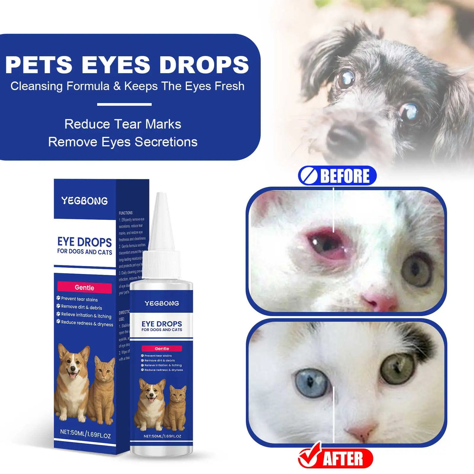 Dog Dry Eye Drops: A Complete Guide to Keeping Your Pup’s Eyes Healthy ...