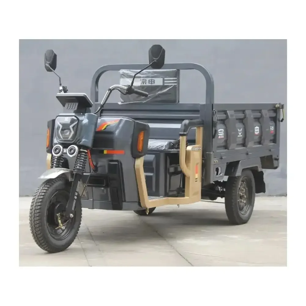 Motor-de-carga-de-tres-ruedas-para-adulto-triciclo-el-ctrico-de-1000W-precio-de-motocicleta.jpg