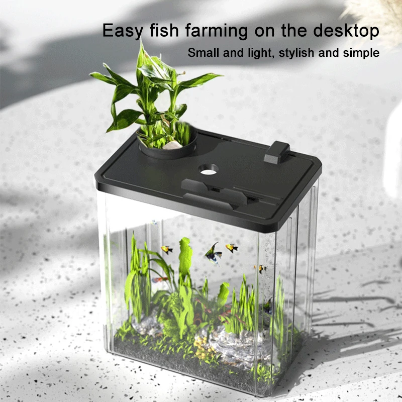 Acrylic Fish Tank Transparent Acrylic Fish Bowl Wall-mounted Aquarium ...