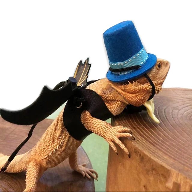Bearded Dragon Costumes