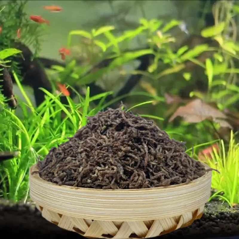 100g-Freeze-Dried-Blood-Insect-Red-Worm-Food-Aquarium-Tank-Tropical ...