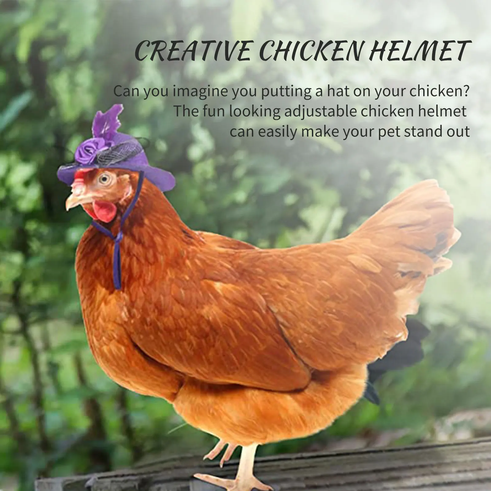 Bonnets For Chickens