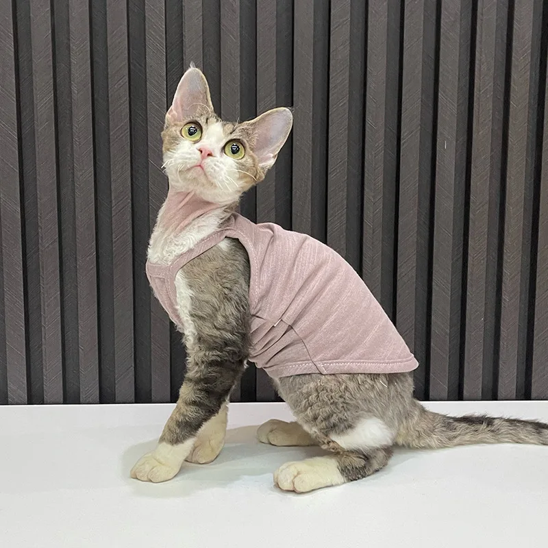 Summer-Cat-Clothes-for-Sphinx-Cute-Vest-Pets-Thicken-Coat-Kittens ...