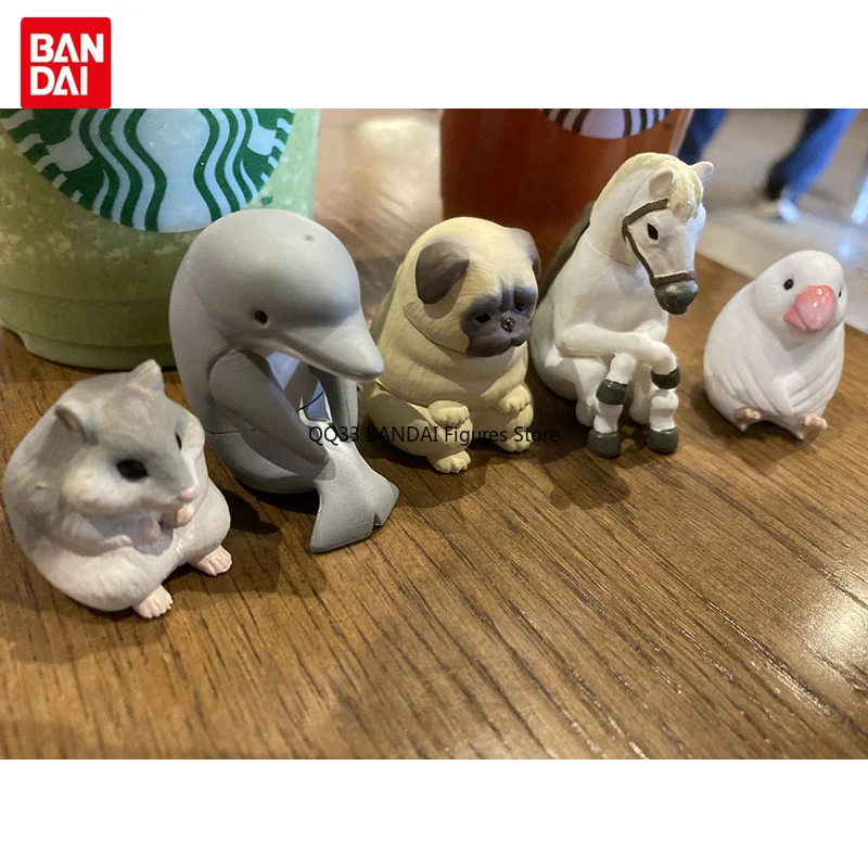 BANDAI Cute Animals Gashapon Toys Wenniao Hamster Dolphin Horse Waiting ...