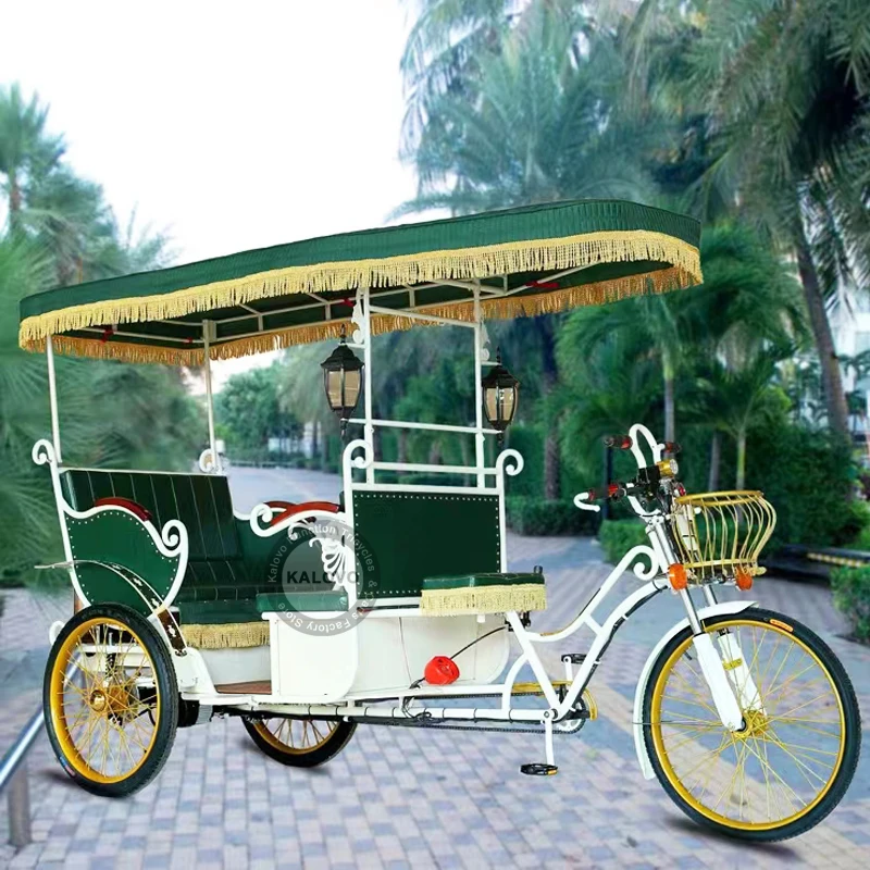 Big-Power-Sightseeing-Three-Wheel-Electric-Passenger-Auto-Rickshaw-For ...