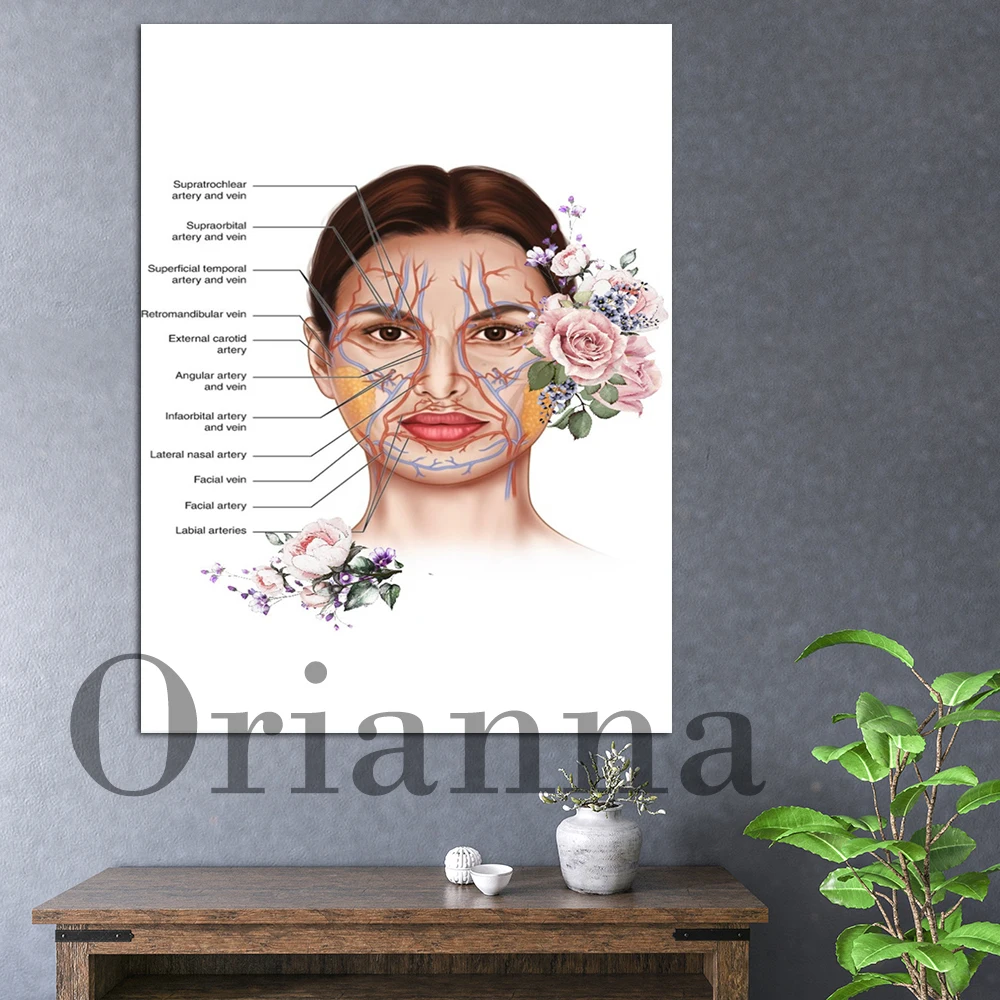 Dermal-Filler-Poster-Facial-Anatomy-Poster-Botox-Poster-Lip-Filler ...
