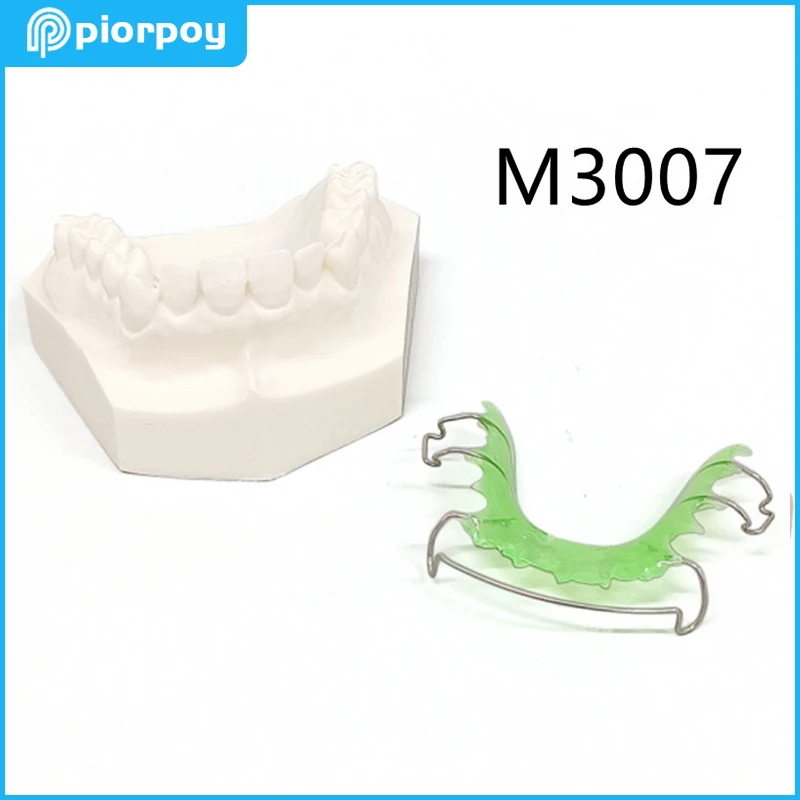 Dental Teaching Model Detachable Implant Tooth Maxillary Orthodontic ...