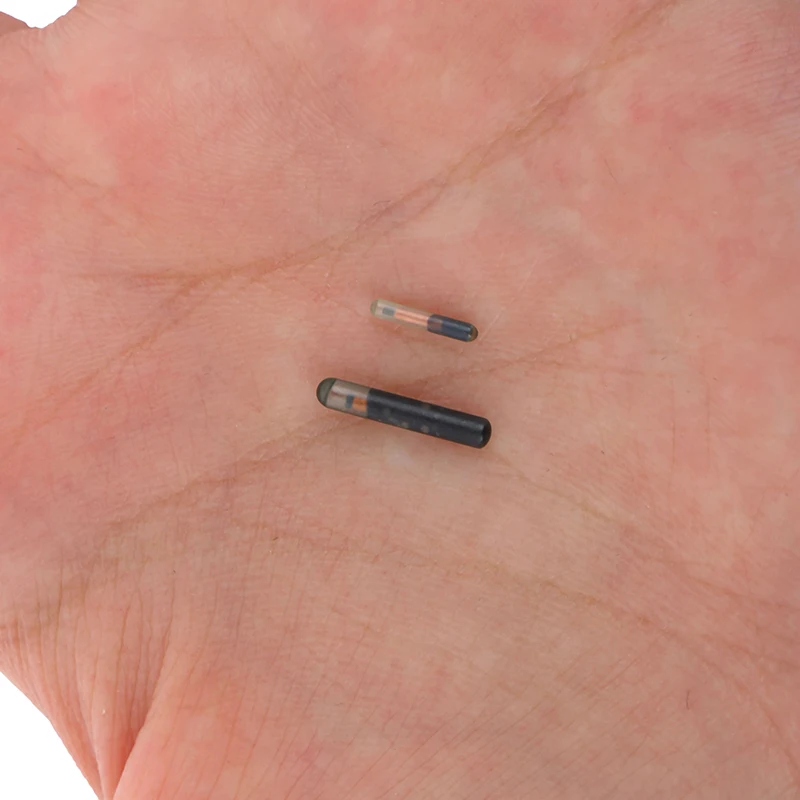 134-2KHZ-Microchip-Animal-RFID-tag-for-Fish-dog-cat-idetification.jpg