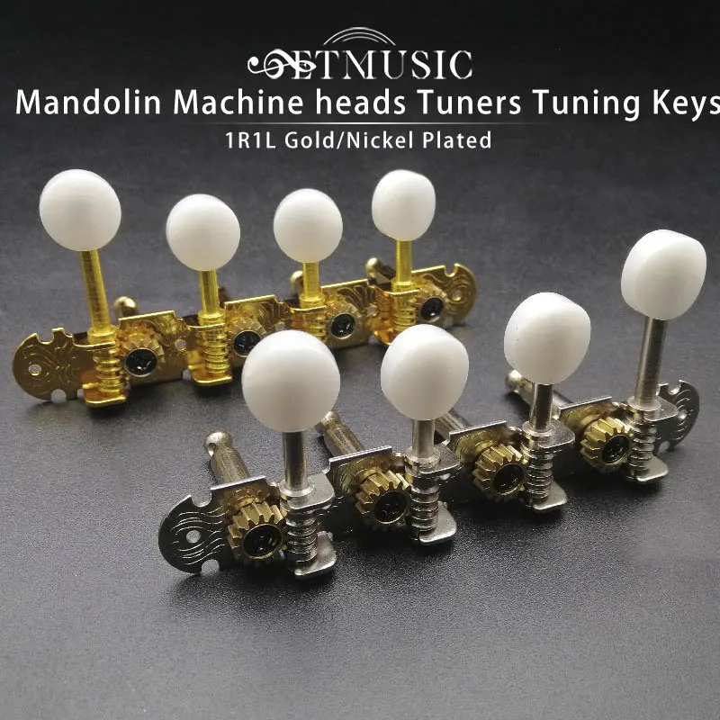 Mandolin Tunings And Sizes