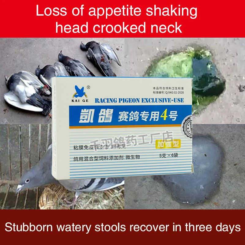 Pigeon-medicine-diarrhea-water-green-stool-vomiting-and-food-5g-6-bags ...