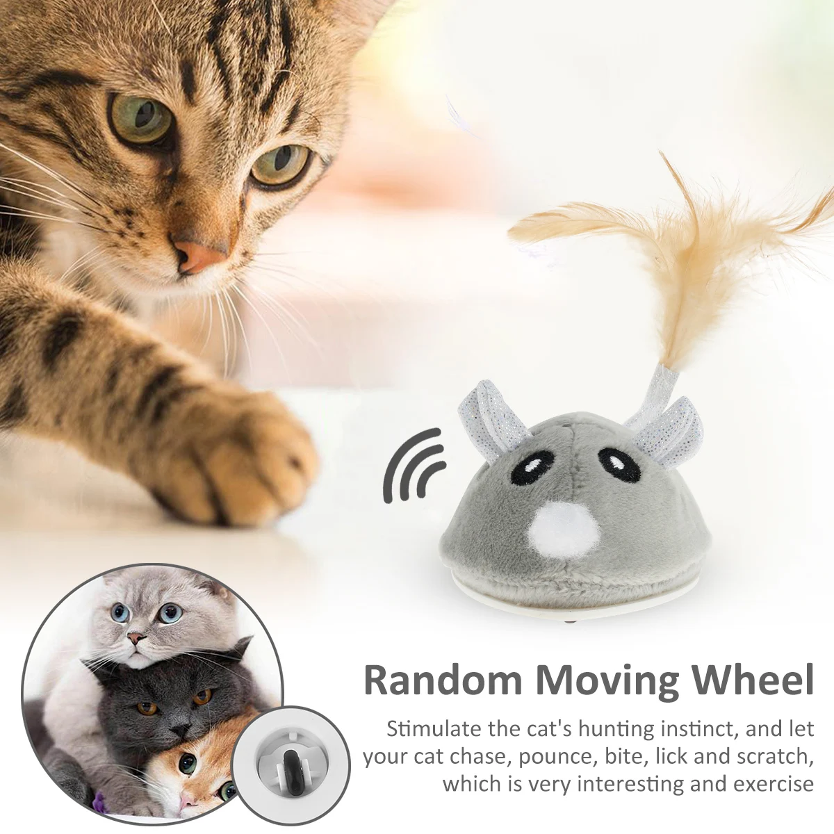 Cat Pouncing On Mouse