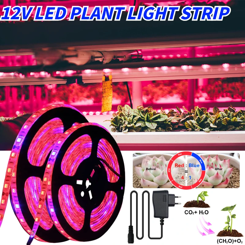 5M-12V-LED-Lamp-Plant-Grow-Strip-Lights-Light-Tape-Full-Spectrum-Flower ...