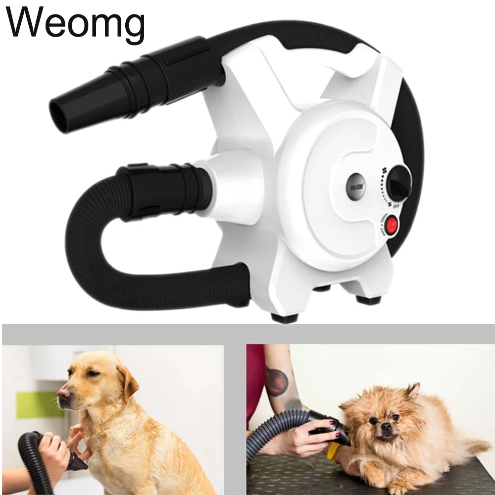 Powerful Pet Hair Dryer For Dogs Pet Cat Grooming Blower Warm Wind ...