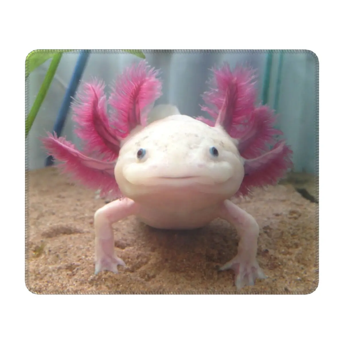 Smiling-Leucistic-Axolotl-Gamer-Mouse-Pad-Anti-Slip-Rubber-Base ...