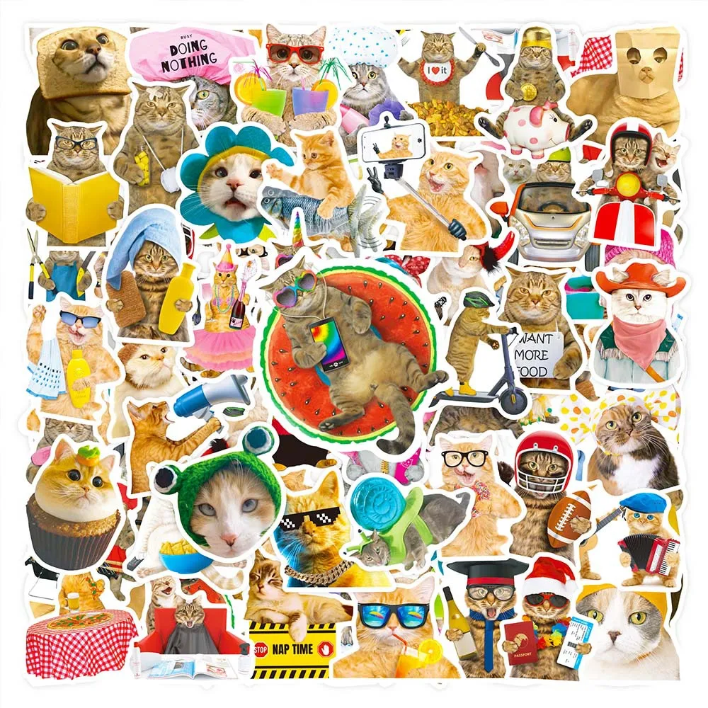 50pcs-Cute-Cat-Stickers-Vinyl-Waterproof-Funny-Cats-Decals-for ...