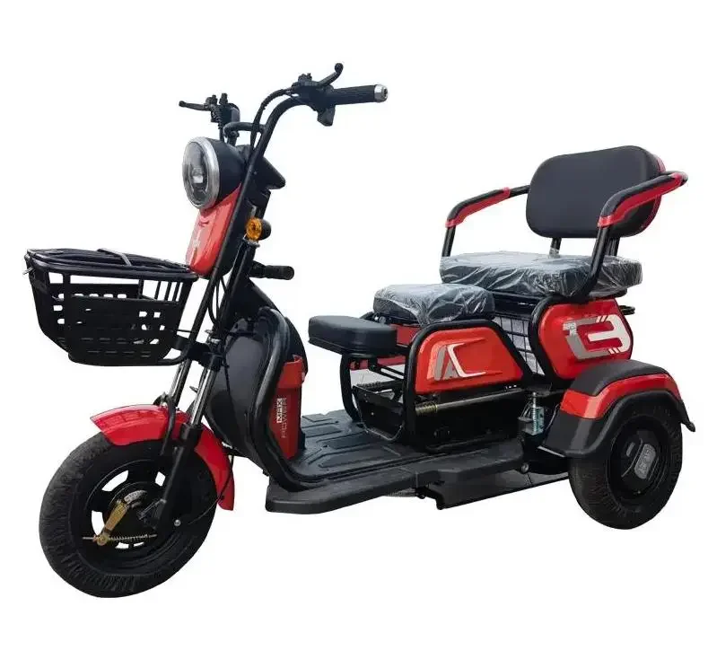 Nieuw-ontworpen-3-wielen-trike-driewieler-elektrische-fiets-500W ...