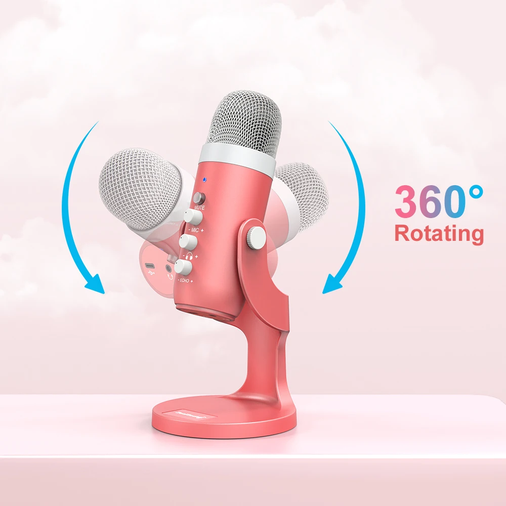 Computer Recording Microphone