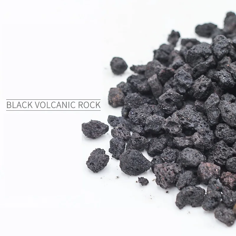 1kg-black-Volcanic-rock-Aquarium-Substrate-nutrient-soil-particles-for ...