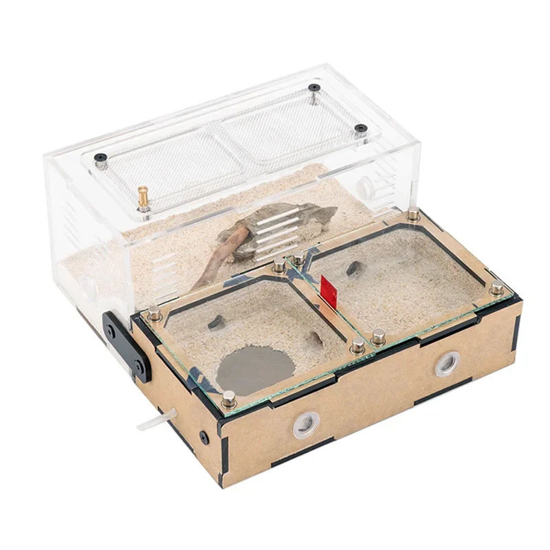 New-Concrete-Ant-Farm-with-Water-Tower-Unlimited-Expansion-Ants-Nest ...