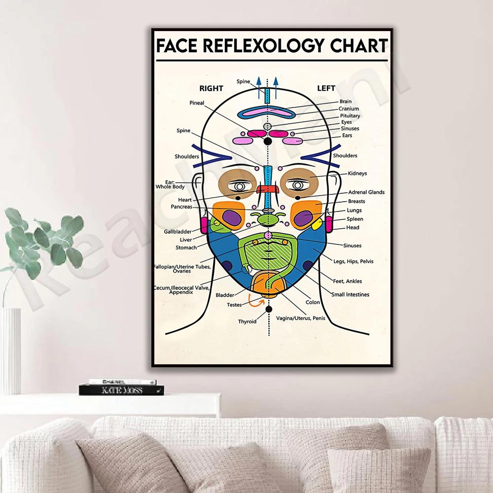 Face Reflexology Map