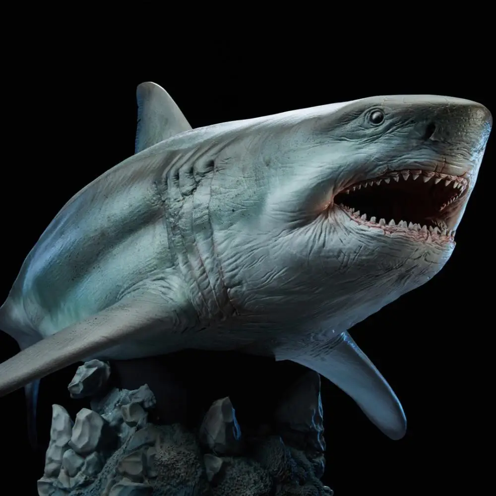 Wdragon-The-Meg-Megalodon-Shark-Dinosaur-Toy-Model-Sculpture-Museum ...