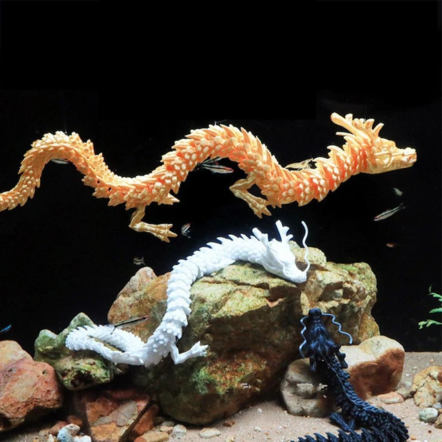 Saltwater Dragon Fish
