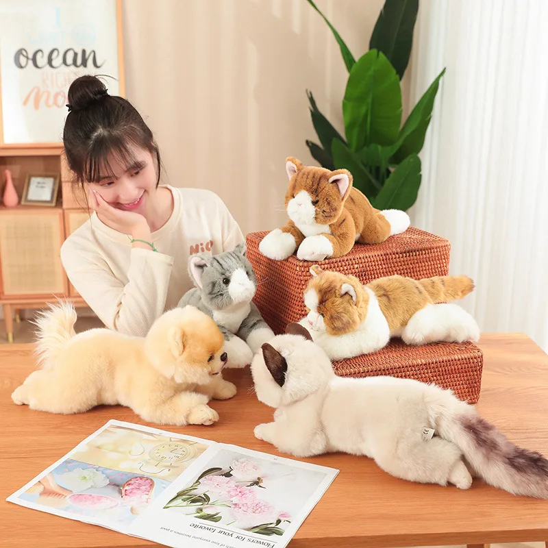 Catdog Real Life Baby