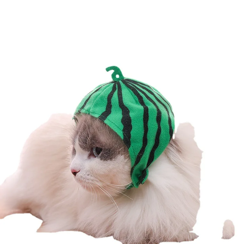 Cats Wearing Fruit Hats
