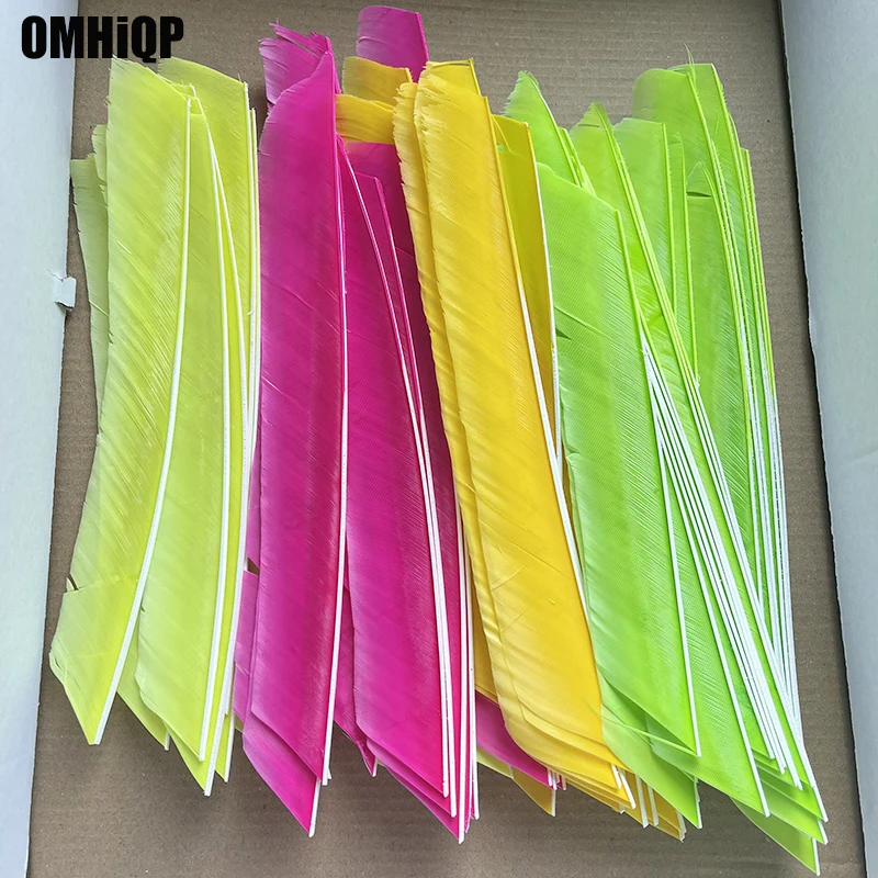100Pcs18-25cm Full Length No Cut Turkey Arrow Feathers Arthery DIY ...