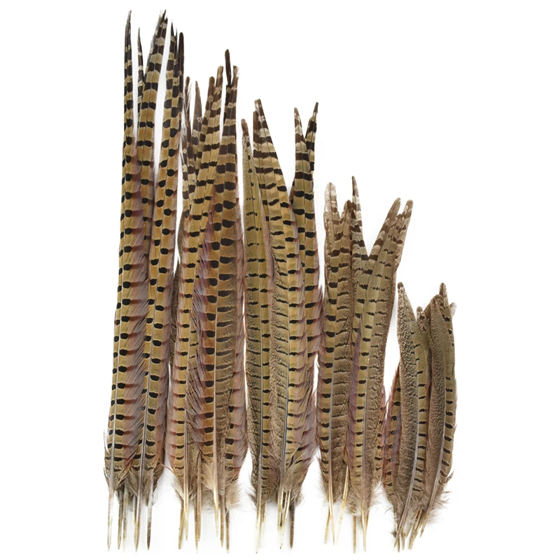 Plumas naturales de faisán con cuello de anillo para manualidades ...