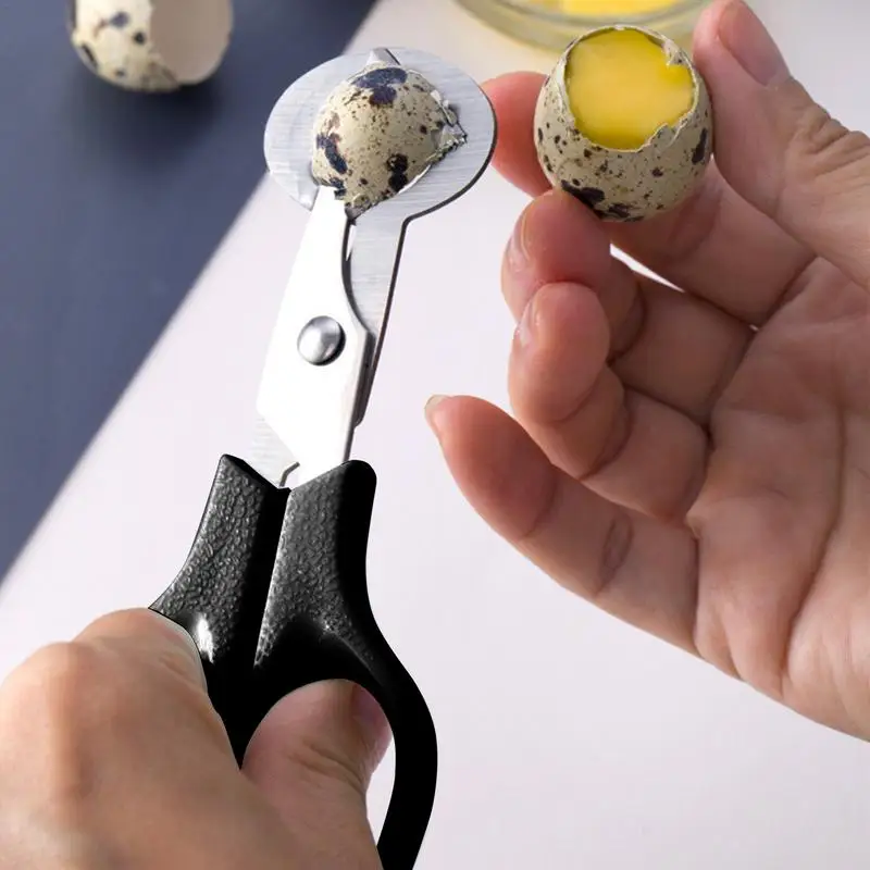 Multifunction-Quail-Egg-Scissor-Bird-Cutter-Opener-Stainless-Steel ...