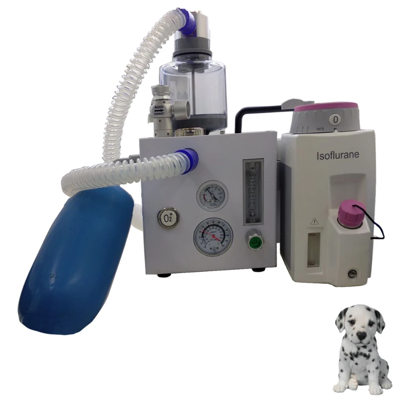 Veterinary-Anesthesia-Oxygen-Flow-Rate-Pet-Inhalation-Anesthesia ...