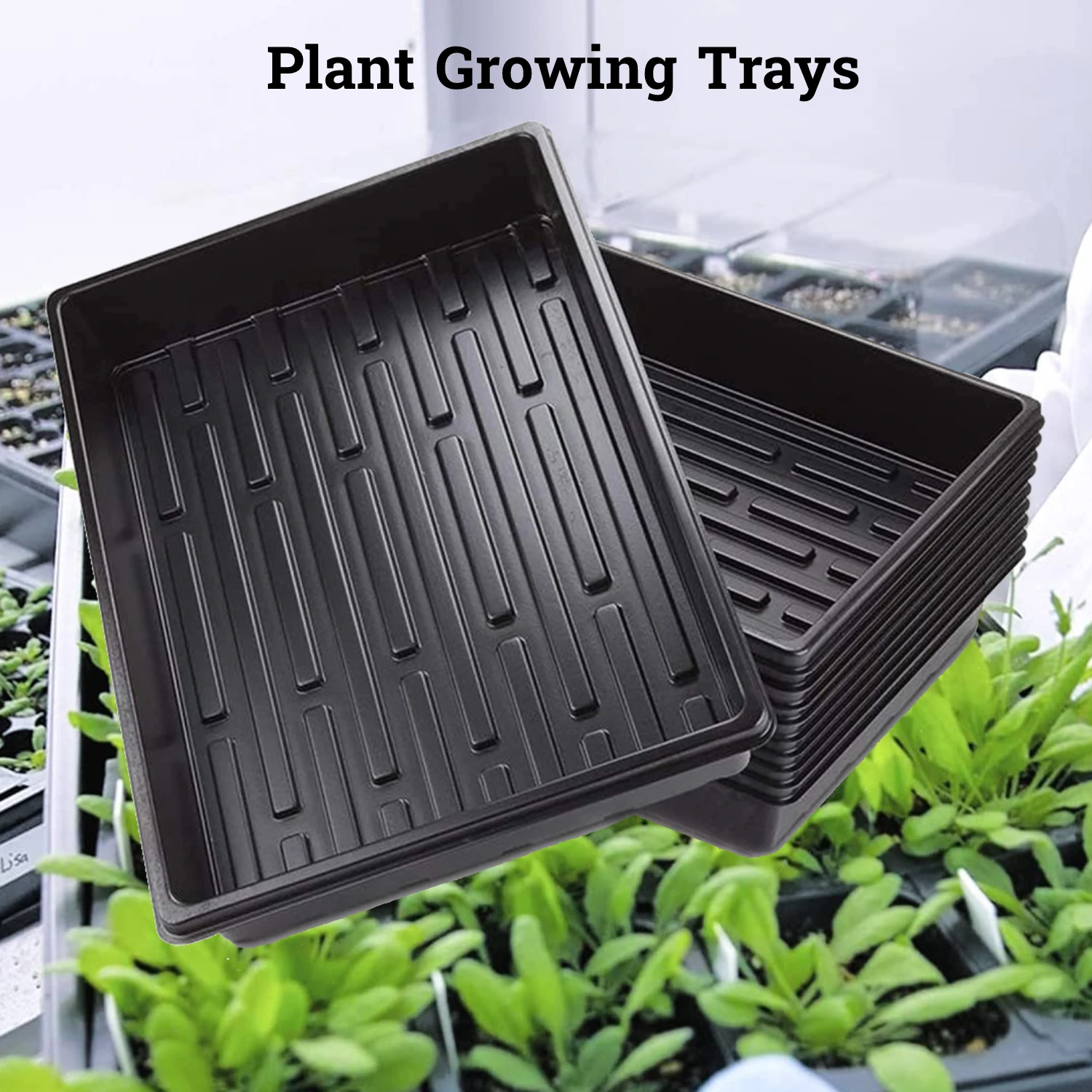 1-8mm-Thickness-Plant-Growing-Trays-Nursery-Seedling-Holder-Plate ...