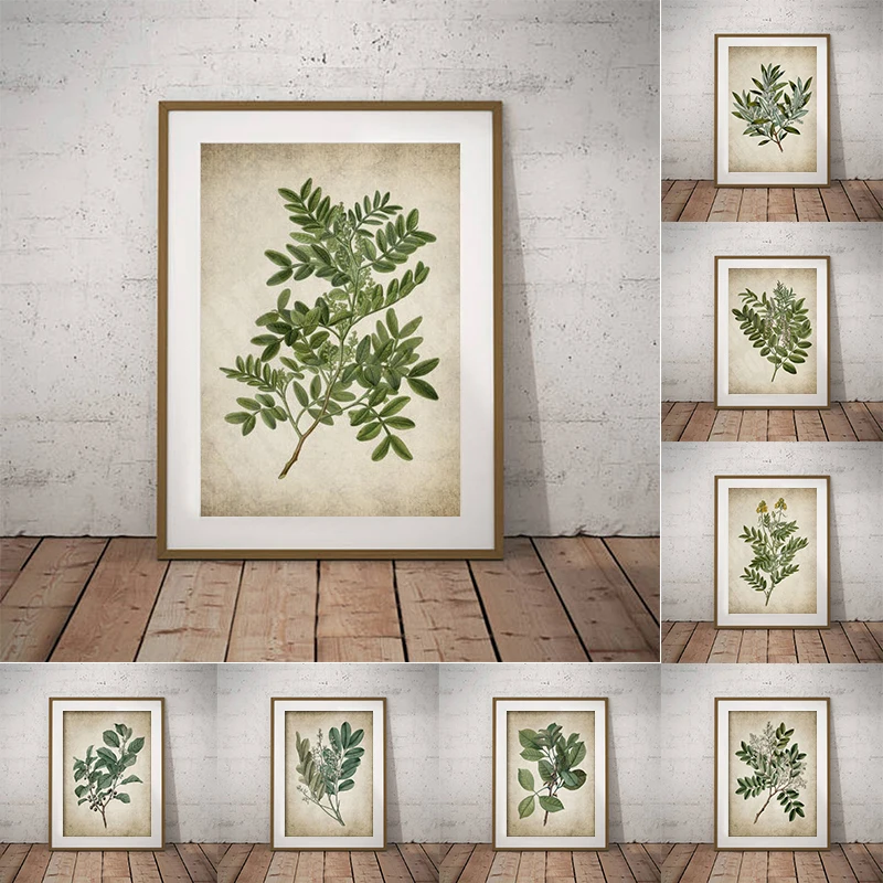 Vintage Green Leaf Botanical Poster Canvas Print Kitchen Wall Art ...