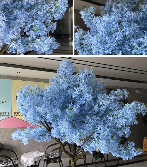 Blue Cherry Blossom Tree