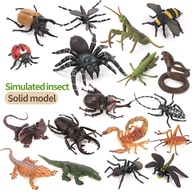 Simulation-Insect-Wild-Animals-Model-Spider-Butterfly-Snail-Ant-Action ...