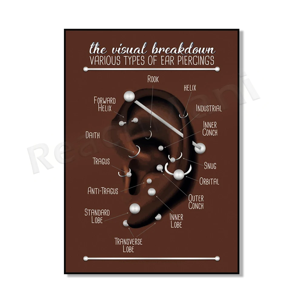 Outer Ear Diagram Piercing