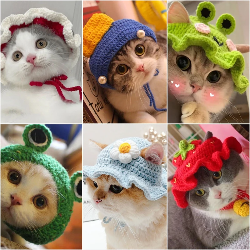 Cute-Refined-Cat-Hat-Elastic-Autumn-Winter-Pet-Hat-Puppy-Kittens ...