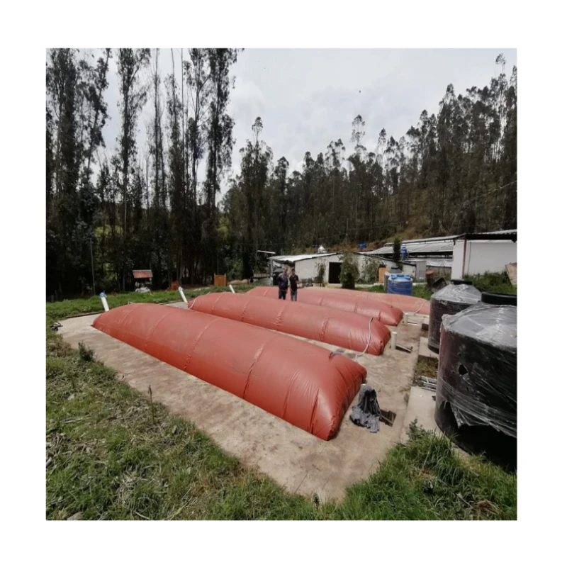 Foldable-PVC-Biogas-Biogaz-Digester-Bag-Tank-Balloon-For-Hoggery-Pig ...