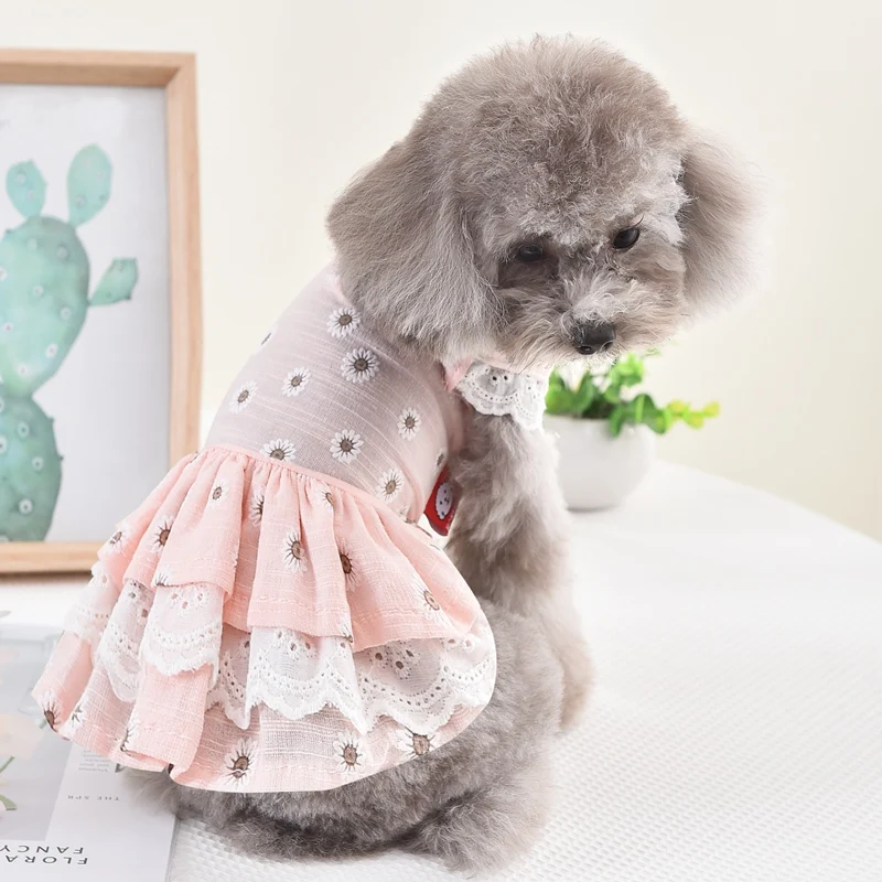 Pugs In Dresses