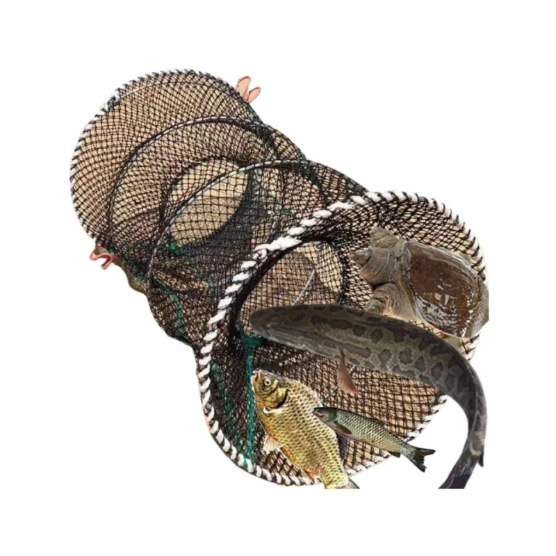 Telescopic-Folding-Fishing-Net-Shrimp-Fish-Trap-Carp-Large-Creel-Feeder ...