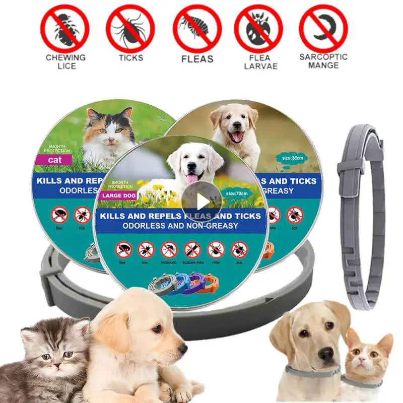 Dog Anti Flea And Ticks Cats Collar Pet 8Month Protection Retractable ...